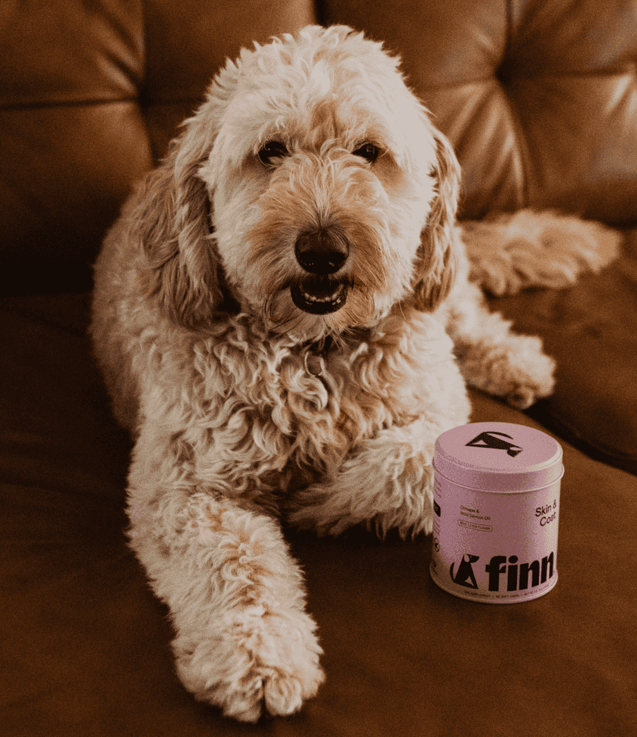 Dog Skin And Coat Supplement | Finn