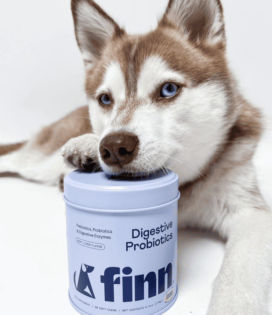 Dog Nutrition Supplements | Comfy Pup Bundle | Finn