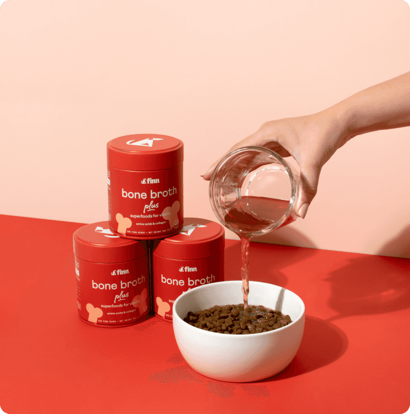 Bone Broth Plus Supplement For Dogs | Finn